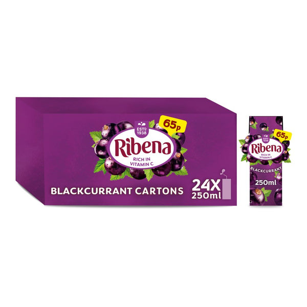 Ribena Blackcurrant Juice Drink 250ml (Pack of 24) – Zorbaonline